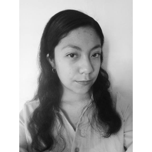 Viri Mendoza | Desarrollo Web Front-End